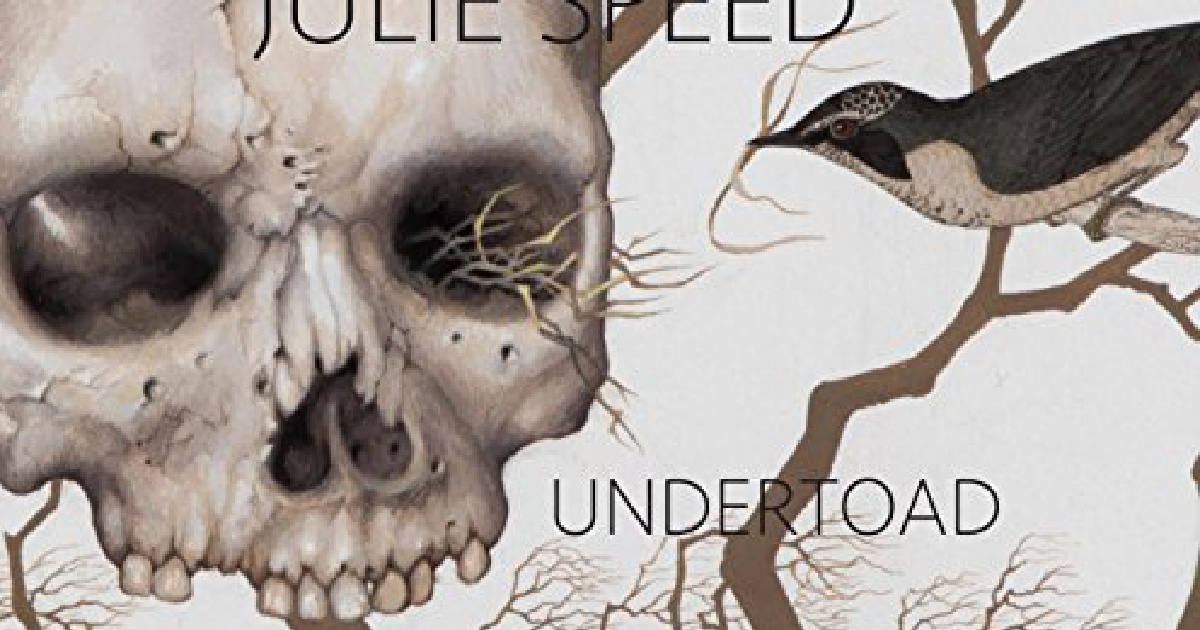 Julie Speed: Undertoad | February 18 - March 19, 2016 | Ruiz-Healy Art